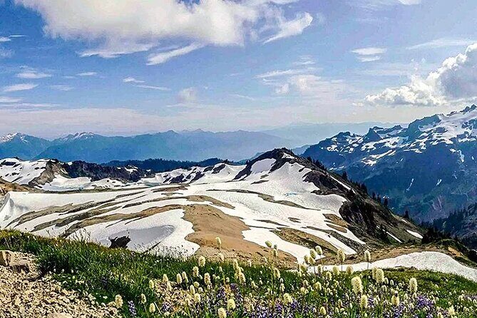 From Seattle - Private Mt Baker and Cascades Tour in SUV - The Sum Up: Who Will Love This Tour?