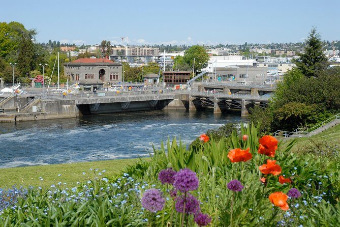 From Seattle: Private Seattle City Tour - Real Traveler Feedback and Insights