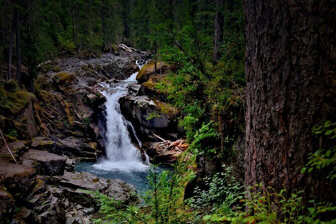 From Seattle: Private Tour to Mt. Rainier - Who Is This Tour Best For?