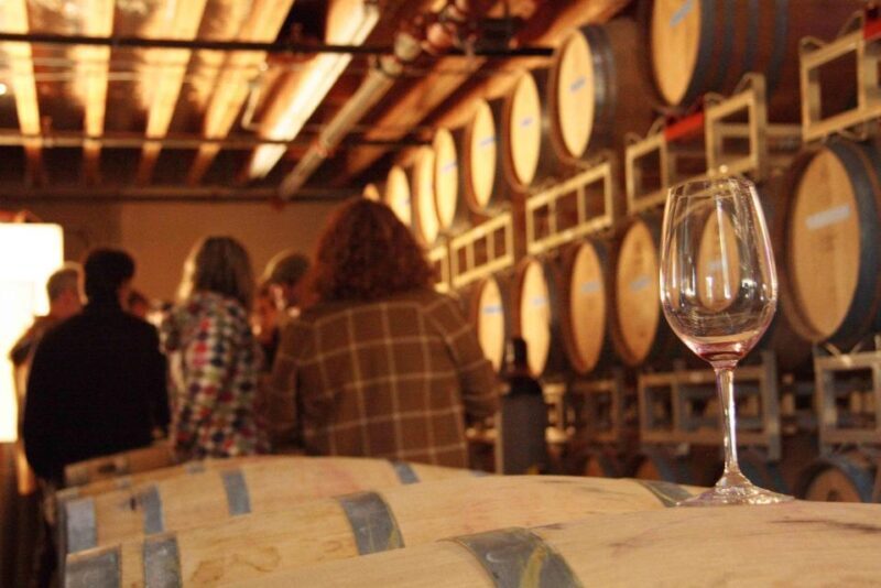From Seattle: Snoqualmie Falls & Woodinville Wine Tasting - Who Should Consider This Tour?