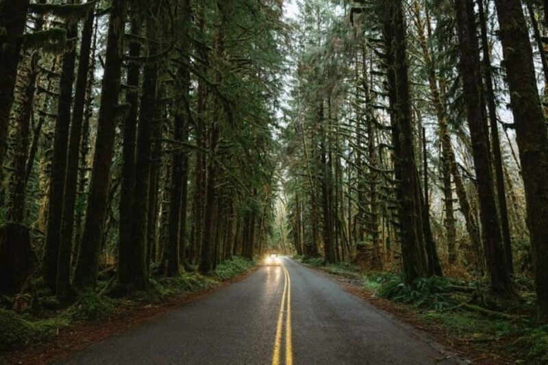 From Seattle: Twilight Forks Washington Tour - A Practical Look at the Day