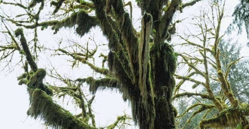From Seattle: Twilight Forks Washington Tour - Final Thoughts