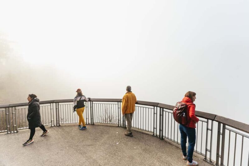 From Seattle: Visit Snoqualmie Falls and Hike to Twin Falls - Authentic Experiences and Real Traveler Insights