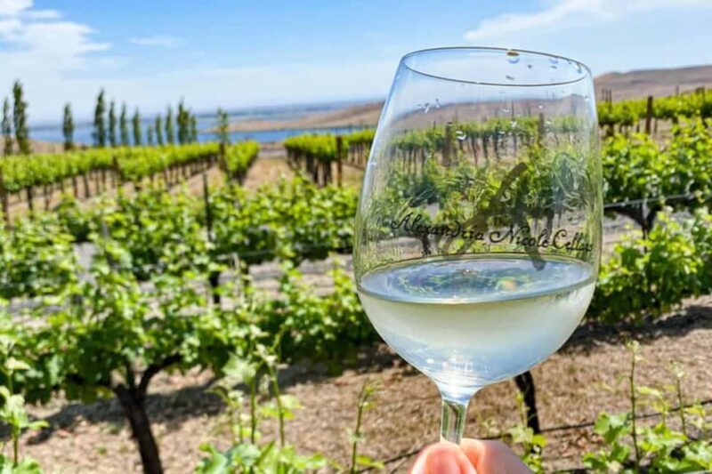 From Seattle - Wine Tasting, Vineyards in Eastern WA - Introduction
