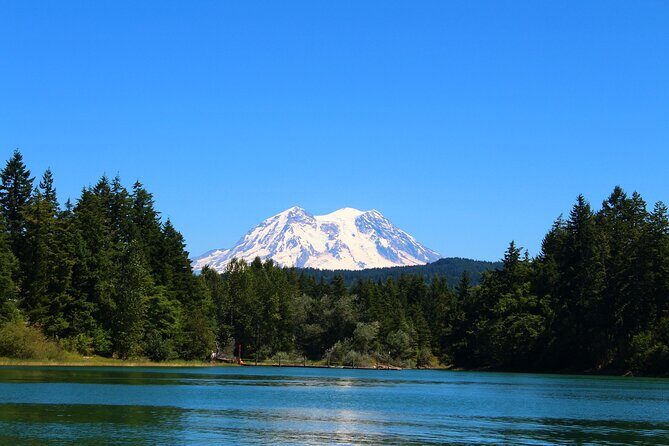 From Seattle:Hiking in Mount Rainier Private Tour - Key Points