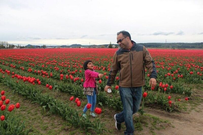 From Seattle:Tulip Festival at Skagit Valley and La Conner - An In-Depth Look at the Skagit Valley Tulip Festival and Coastal Tour