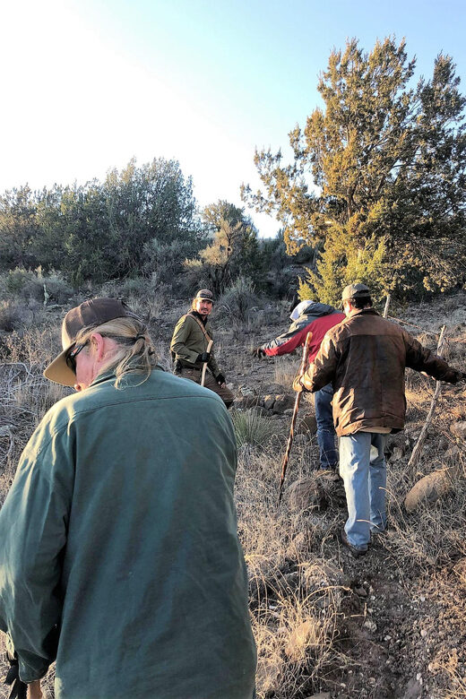 From Sedona: Archeology and Nature Hike - Key Points