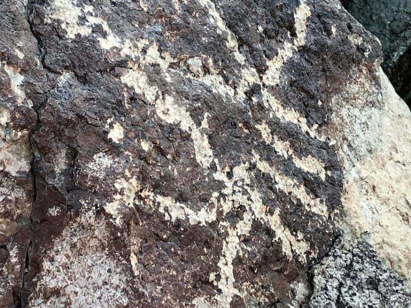 From Sedona: Archeology and Nature Hike - Final Thoughts: Who Will Love This Tour?