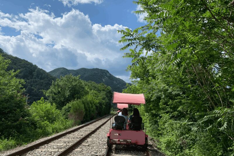 From Seoul: Alpaca Farm with Rail bike/ Luge Racing - Starting Point and Journey from Seoul