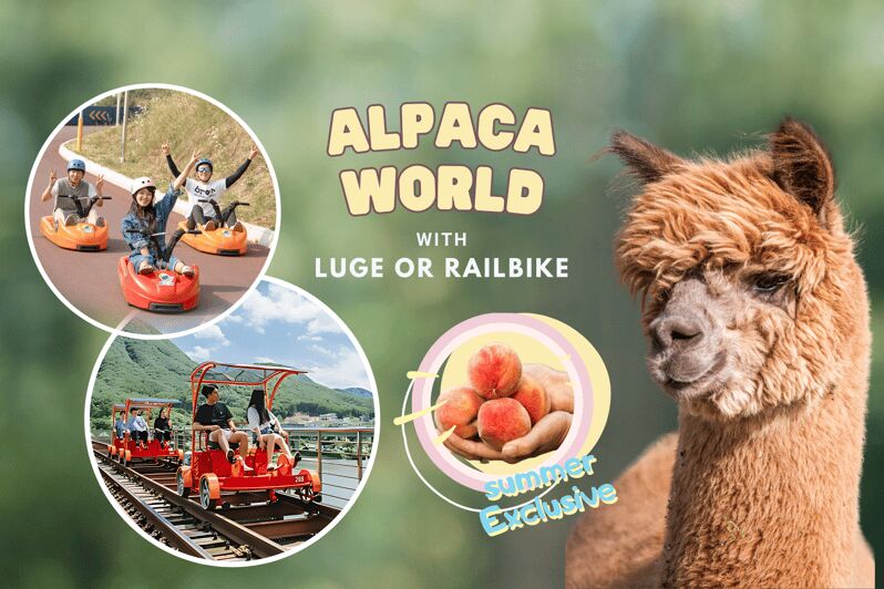 From Seoul: Alpaca Farm with Rail bike/ Luge Racing - Duration and Logistics