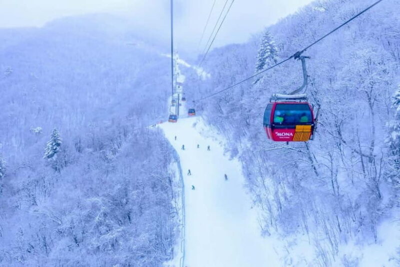 From Seoul: Balwangsan Cable Car and Daegwallyeong Ranch - Key Points