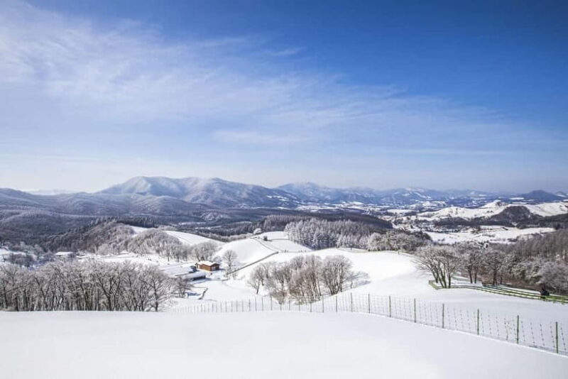 From Seoul: Balwangsan Cable Car and Daegwallyeong Ranch - The Scenic Ride on the Balwangsan Cable Car