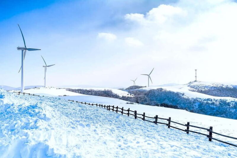 From Seoul: Balwangsan Cable Car and Daegwallyeong Ranch - The Summit and the Panorama