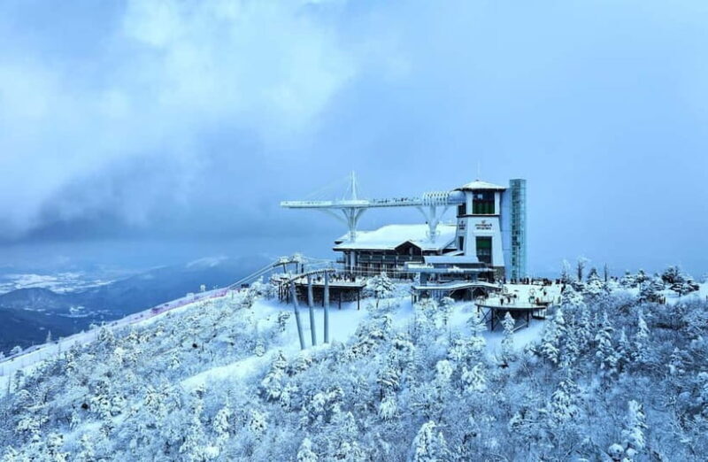 From Seoul: Balwangsan Cable Car and Daegwallyeong Ranch - Final Thoughts