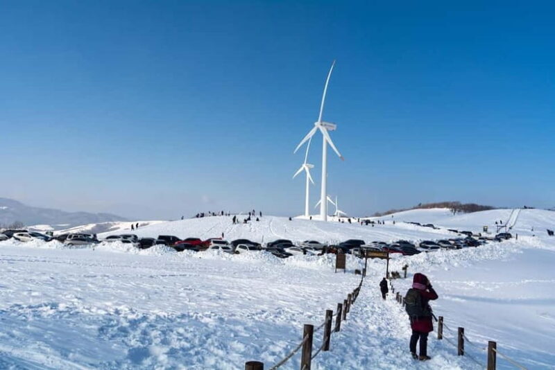 From Seoul: Balwangsan Cable Car and Daegwallyeong Ranch - FAQs