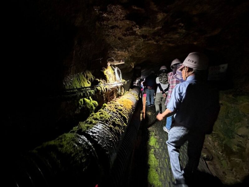 From Seoul: Cheorwon DMZ and 2nd Tunnel Tour with Lunch - Authenticity and Sustainability