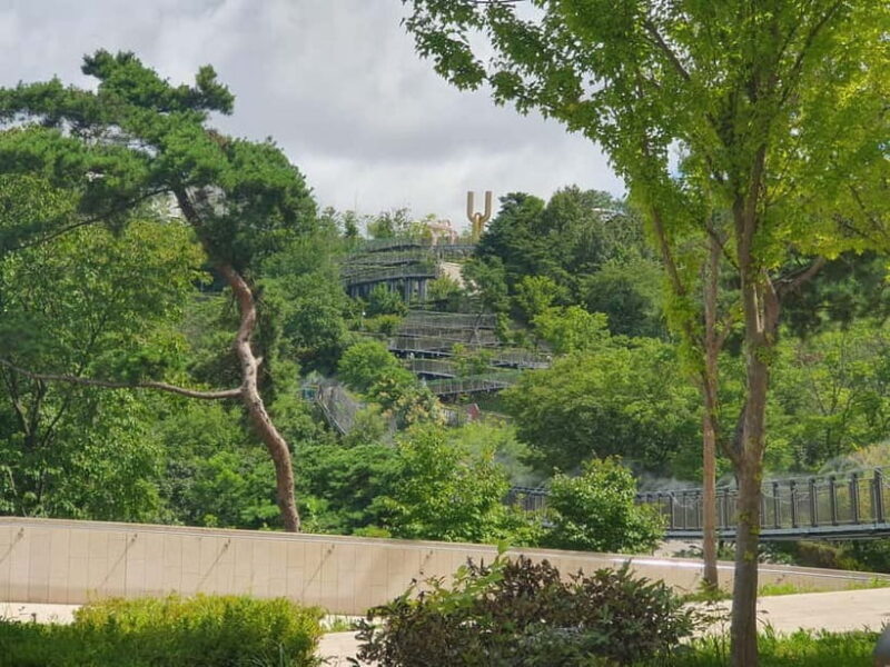 From Seoul: Closest Observatory to DMZ (Starbucks Tour) - What You Can Expect on the Tour