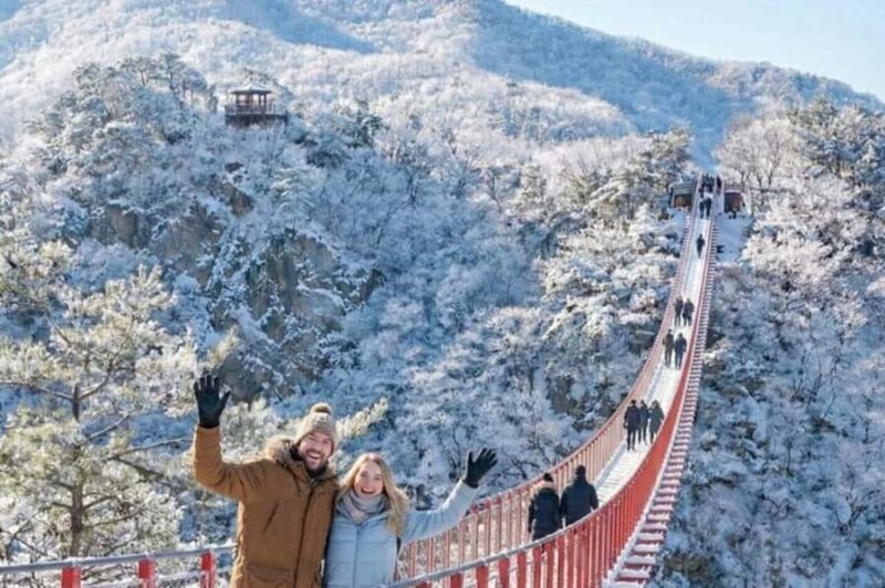 From Seoul: DMZ Tour & North Korean Defector Talk - An In-Depth Look at the Tour