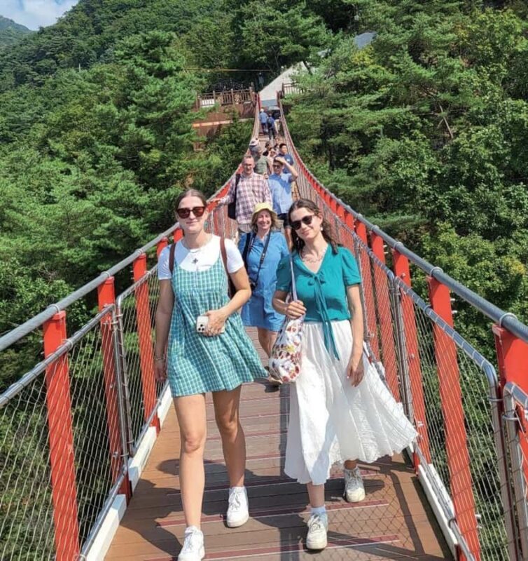 From Seoul: DMZ Tour & North Korean Defector Talk - Practical Details & Tips