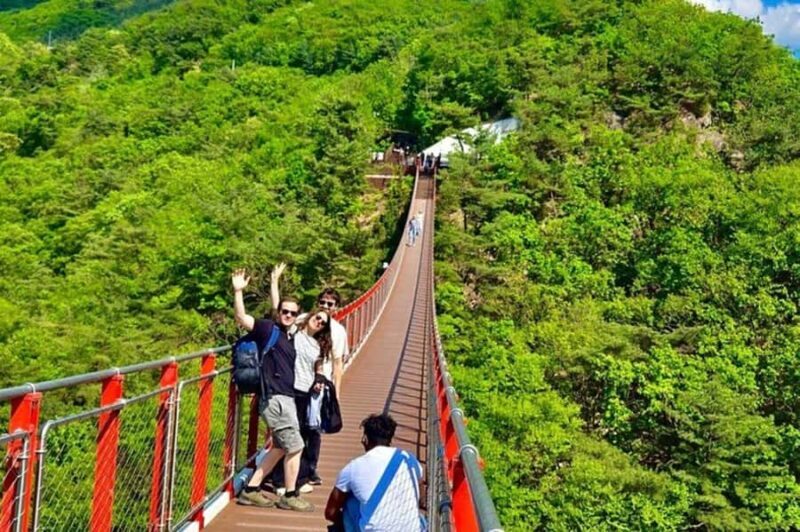 From Seoul: DMZ Tour & North Korean Defector Talk - FAQs (Based on Tour Data)