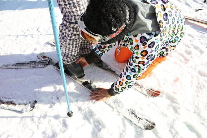 From Seoul: Elysian Gangchon : Ski Pro Lesson Package - Key Points