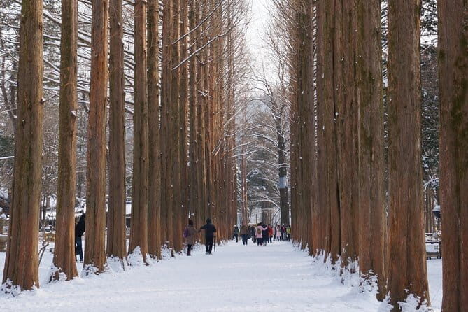 From Seoul: Elysian Gangchon : Ski Pro Lesson Package - FAQ