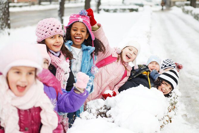 From Seoul: Elysian Gangchon Snow Sliding+Nami Island Guided Tour - A Practical Guide to the Snow and Serenity Tour