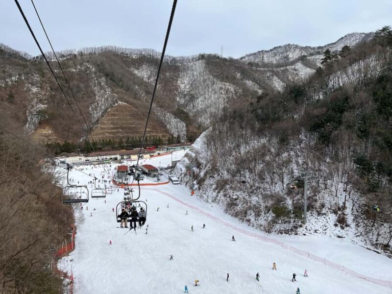 From Seoul: Elysian Ski Resort One Day Tour - An Introduction to the Tour Experience