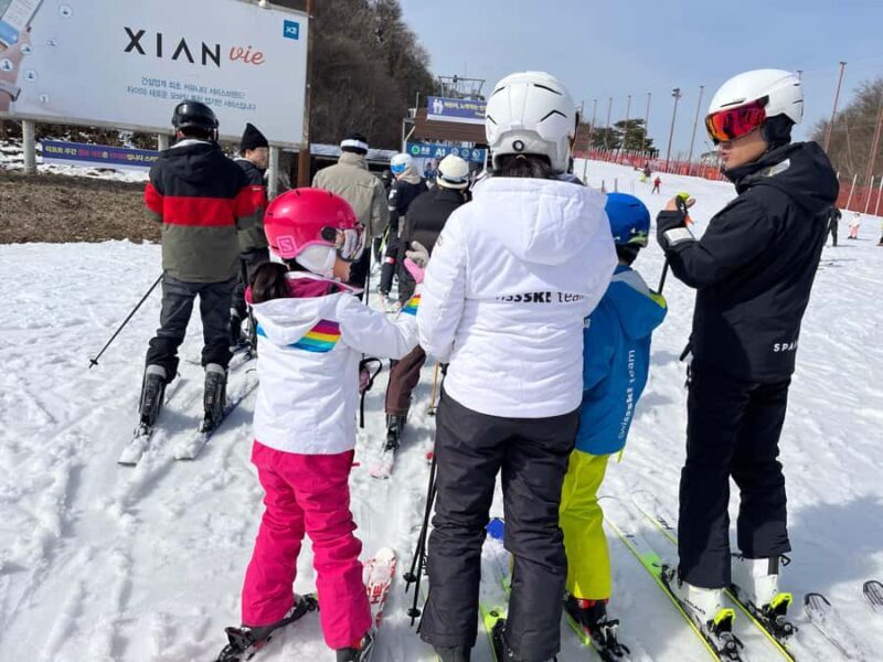 From Seoul: Elysian Ski Resort One Day Tour - Authentic Views and Real Experiences