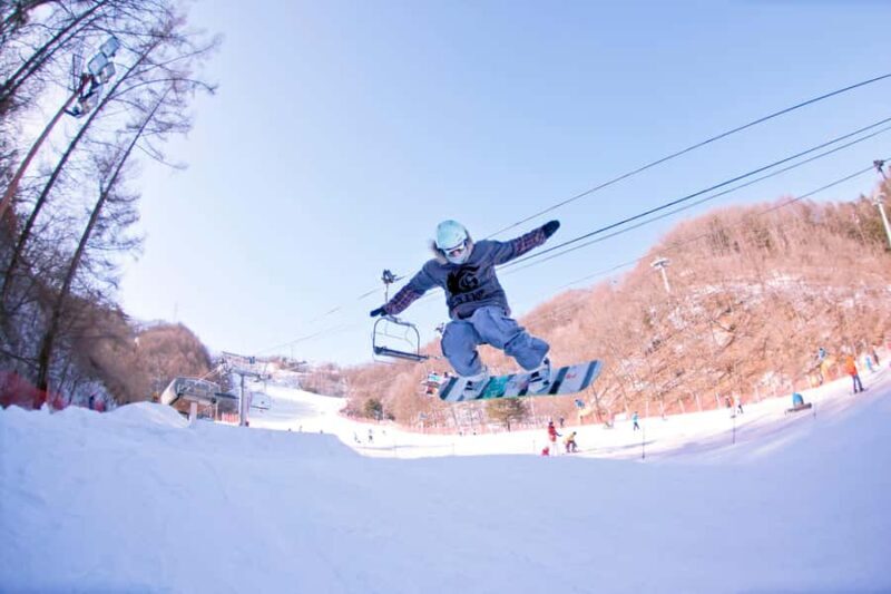 From Seoul: Elysian Ski Resort One Day Tour - Who Will Love This Tour?
