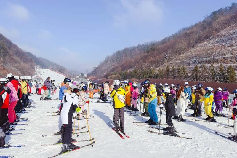 From Seoul: Elysian Ski Tour (Ski & Snowboard Full Package) - Guides and Support