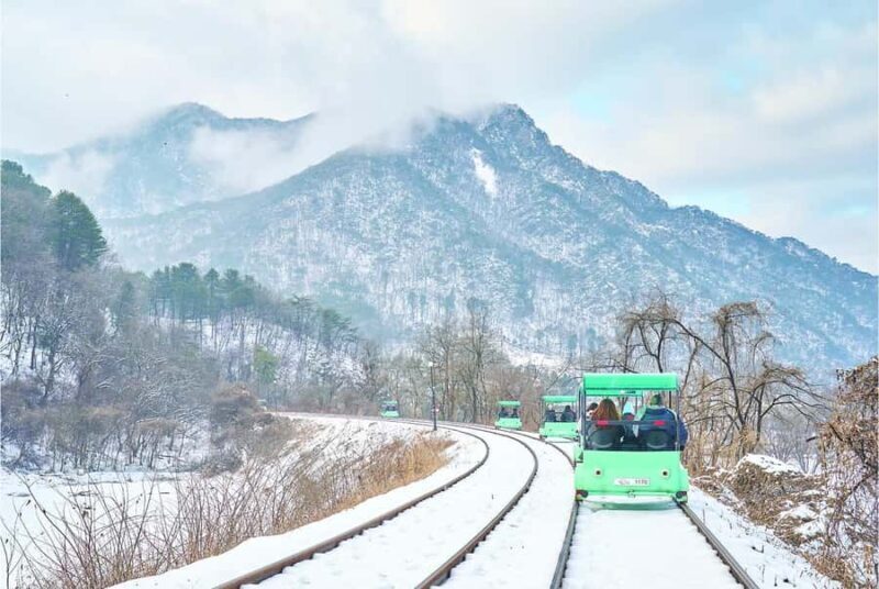 From Seoul: Eobi Ice Valley & Nami Island Day Trip - Practical Tips for Travelers