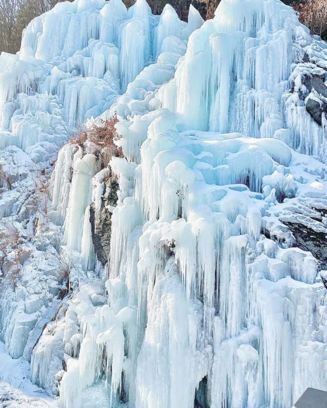 From Seoul: Eobi Ice Valley & Nami Island Day Trip - Who Should Consider This Tour?