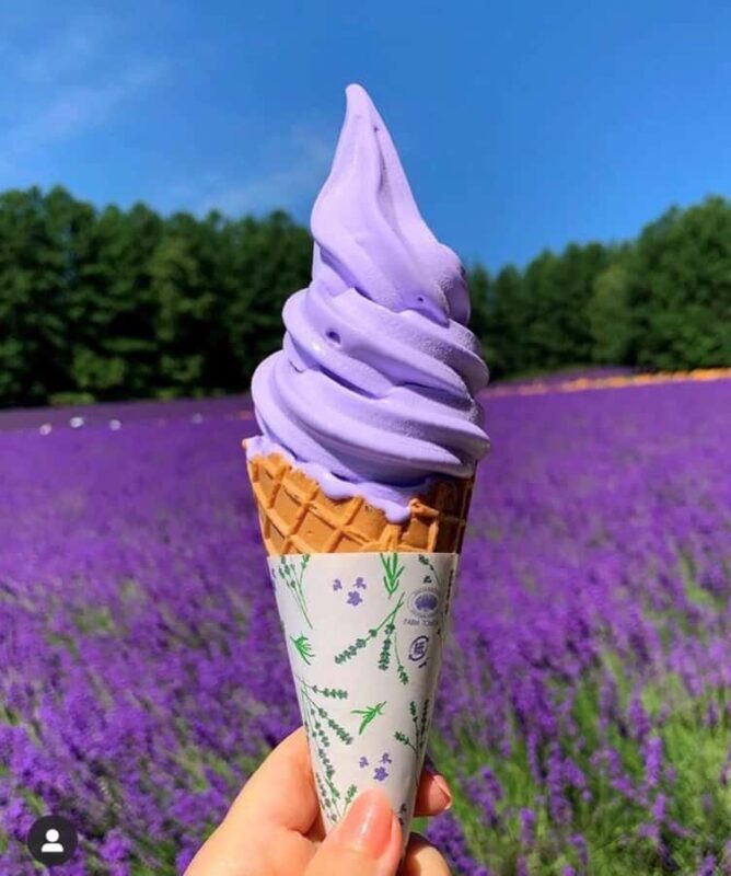 From Seoul: Full-Day Trip to Pocheon`s Nature Attractions - Practical Details You Should Know