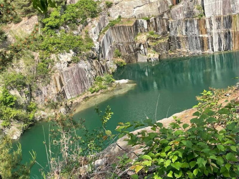 From Seoul: Guided Day Trip to Pocheon - Real Traveler Feedback and Insights