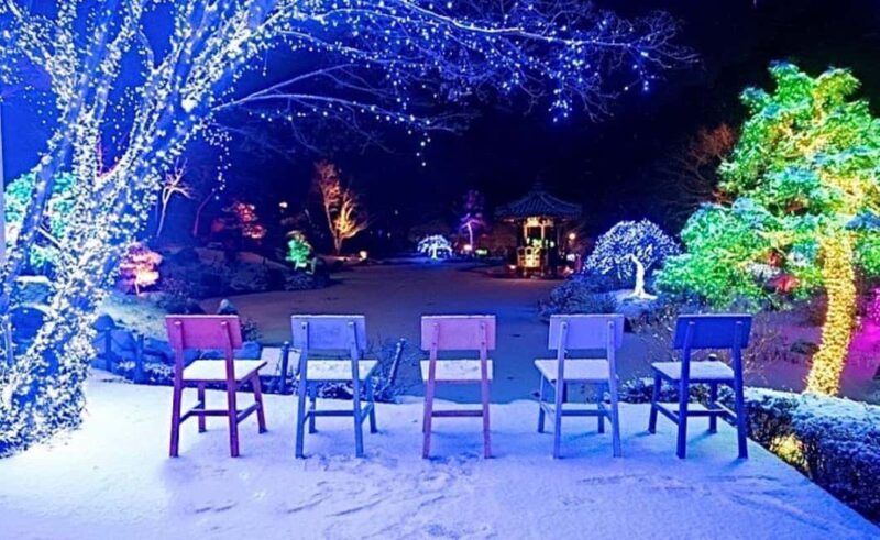 From Seoul: Hwacheon Ice Fishing and Lighting Festival Tour - An Introduction to the Tour