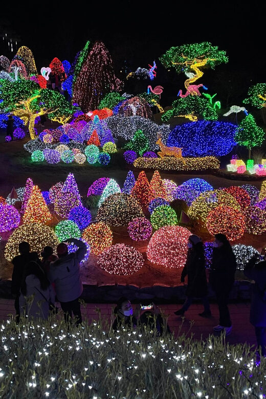 From Seoul: Hwacheon Ice Fishing and Lighting Festival Tour - Final Words