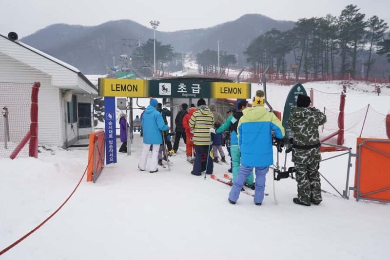 From Seoul: Jisan Forest Resort Ski Full-Day Tour or Shuttle - Key Points