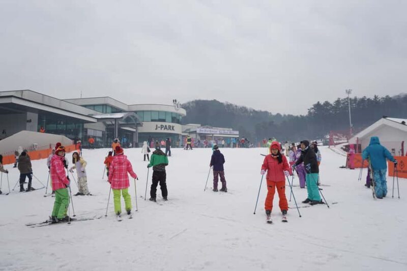 From Seoul: Jisan Forest Resort Ski Full-Day Tour or Shuttle - The Value of the Jisan Forest Resort Ski Tour