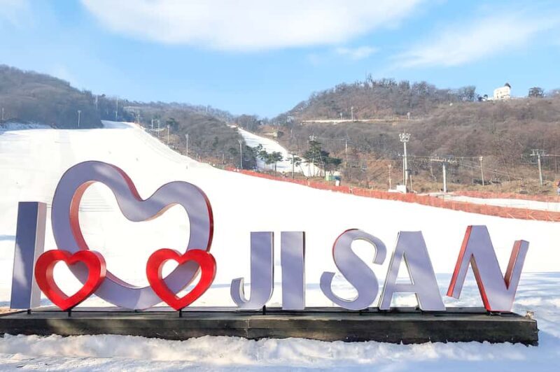 From Seoul: Jisan Forest Ski Resort One Day Tour - Key Points