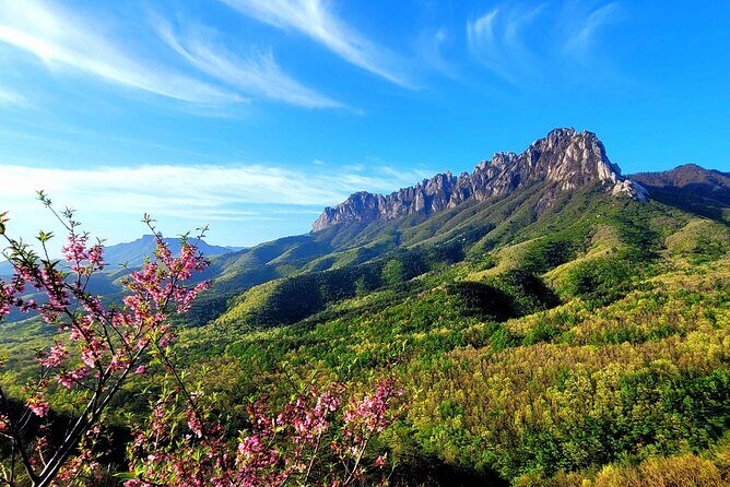 From Seoul: Mt. Seorak & Cherry Blossom & Foodie Tour - A Closer Look at the Itinerary