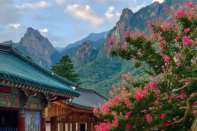 From Seoul: Mt. Seorak & Cherry Blossom & Foodie Tour - The Sum Up: Worthwhile for Nature and Culture Lovers