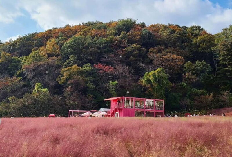 From Seoul: Pocheon, Sanjung Lake and Bidulginang Fall Trip - A Detailed Look at the Tour Experience