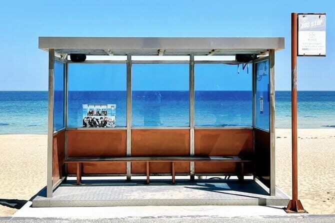 From Seoul: Private Day Tour to Gangneung - Who Should Consider This Tour?