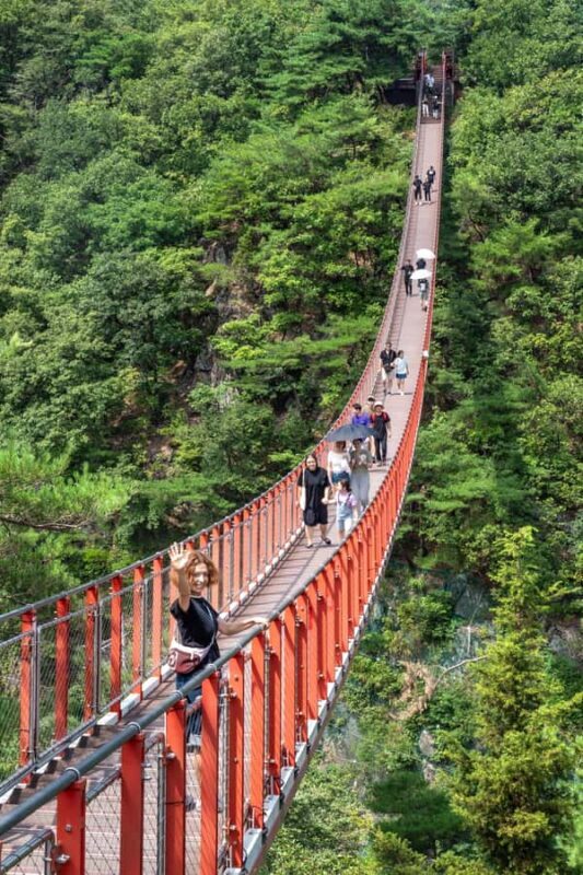 From Seoul: Private DMZ Tour with Optional Suspension Bridge - An Overview of the Experience