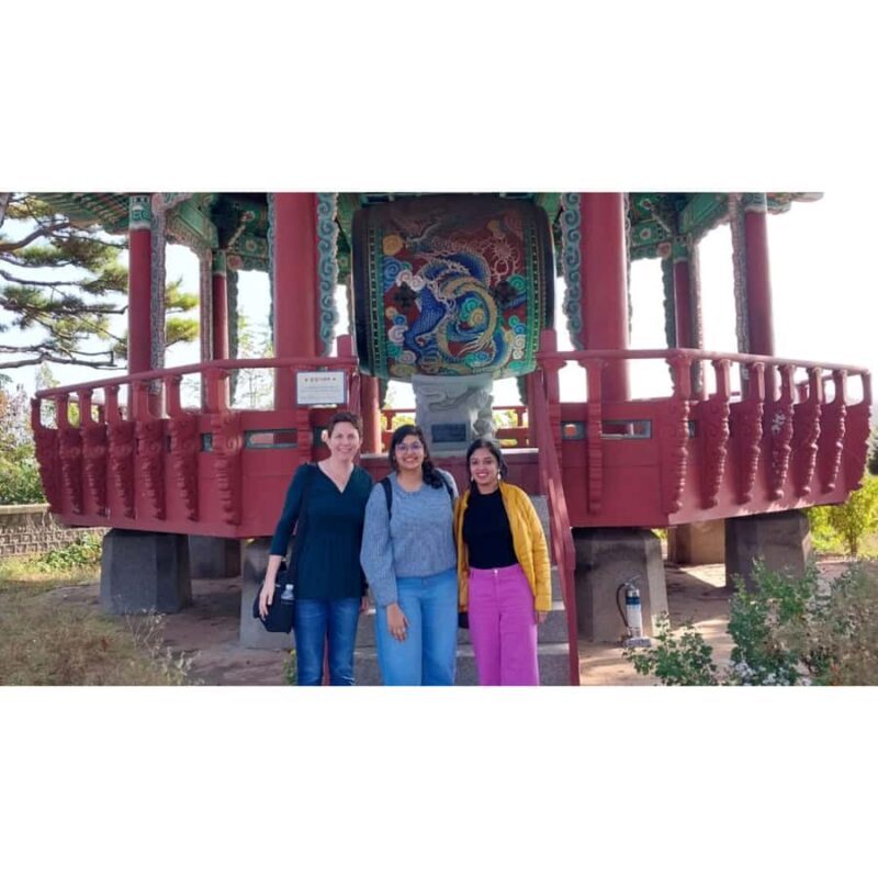 From Seoul: Private Tour to North Korean Border with Pick Up - Why This Tour Offers Good Value