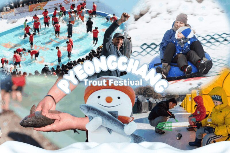 From Seoul: Pyeongchang Trout Festival - Who Will Love This Tour?