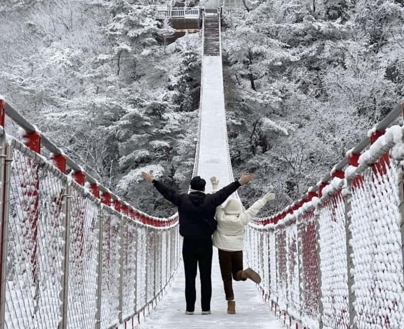 From Seoul: Romantic Winter Wonderland Tour - An overview of what to expect