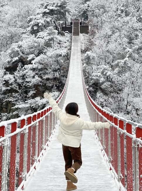 From Seoul: Romantic Winter Wonderland Tour - The itinerary in detail