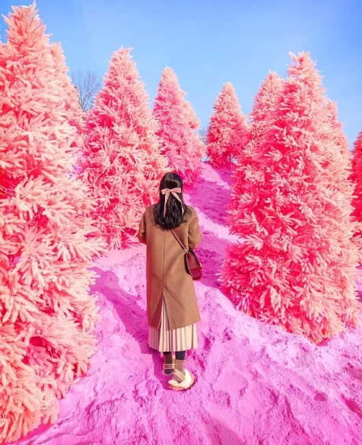 From Seoul: Romantic Winter Wonderland Tour - Authentic traveler impressions